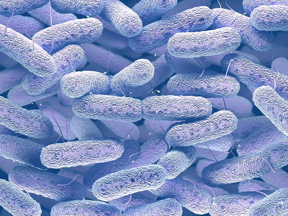 Understanding Klebsiella pneumoniae in Healthcare Facilities